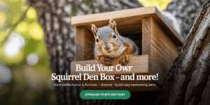 Step-by-Step Squirrel Nest Box Plans: Build the Perfect Home for ...